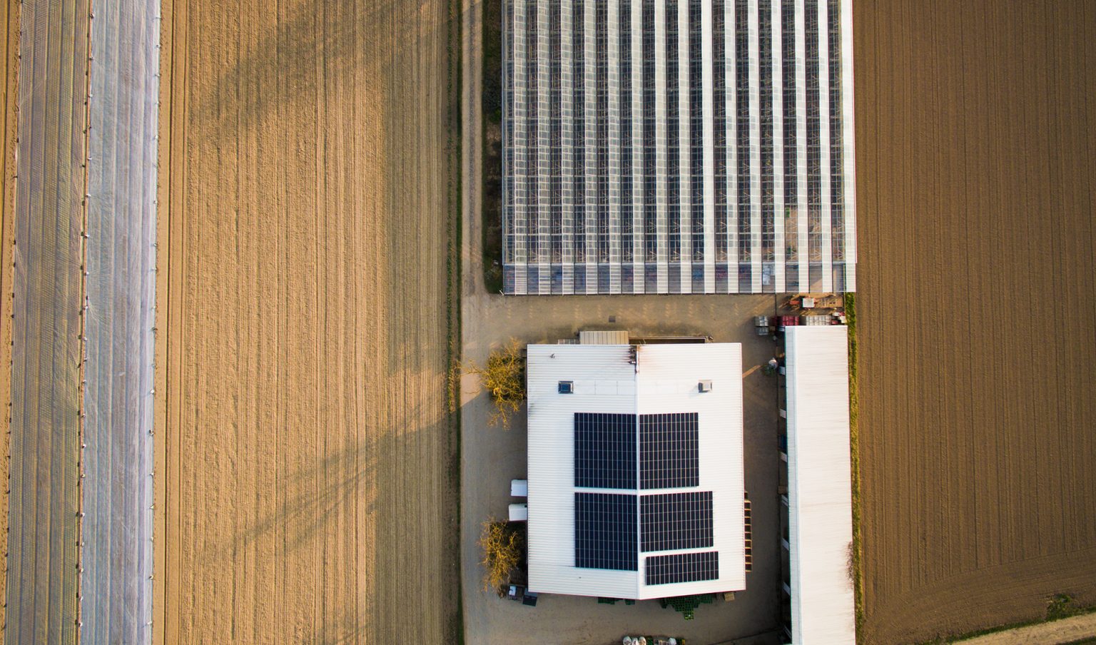 Most Efficient Solar Panels on the Market: Your Guide to Top Performers ...